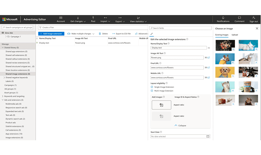 Performance Max and other key updates for March | Microsoft Advertising