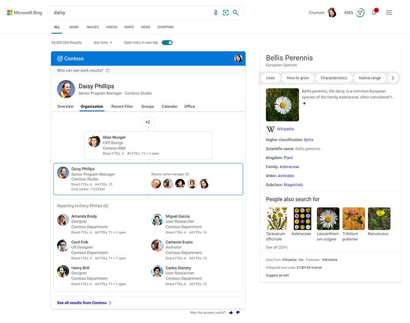 Amplify your visual storytelling | Microsoft Advertising